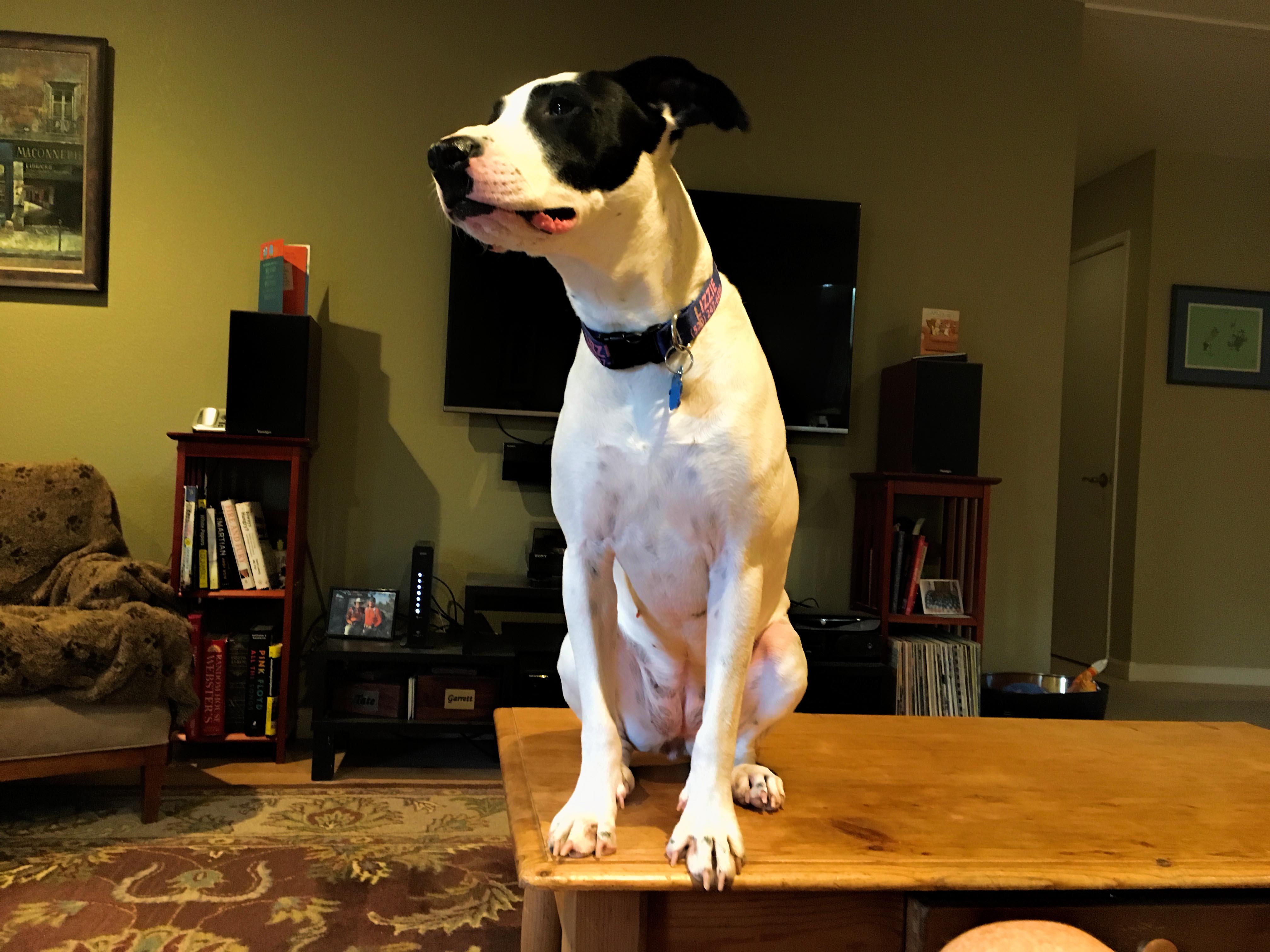 180623-lpod – Greytbros